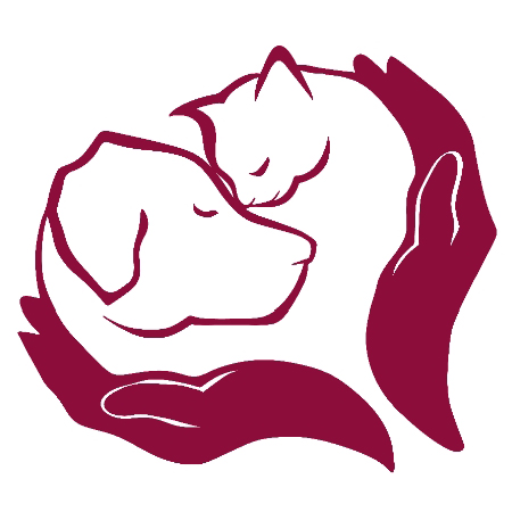 Understanding canine aggression: causes, warning signs, and treatment ...