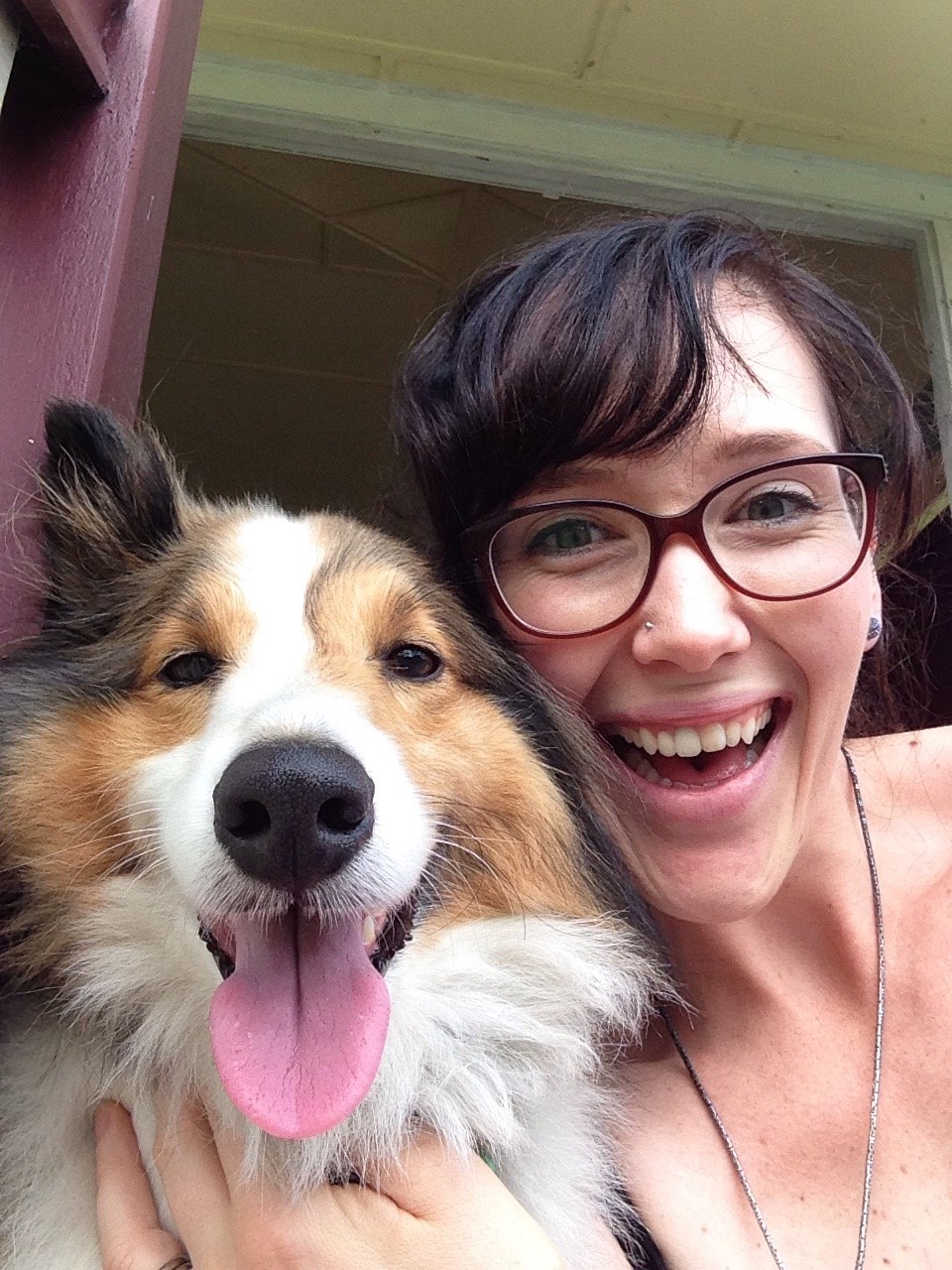 About our Vet: Dr Jessica Pickett - Synergy Veterinary Behaviour Solutions